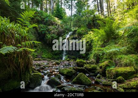 Hindhope Linn, Waterfall and trail Stock Photo - Alamy