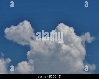 big clouds zoom, Large cumulus cloud - a panoramic photo Stock Photo ...
