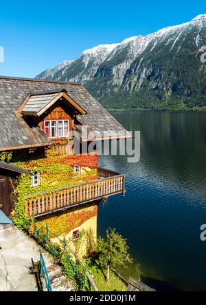 Trees at Hallstatter See lake in Hallstatt, Upper Austria Stock Photo ...