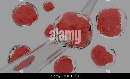 Human embryonic stem cell colony Stock Photo - Alamy