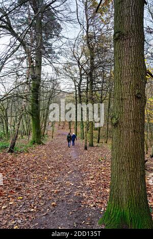 The countryside at Abinger Roughs in the Surrey Hills on an autumn day ...