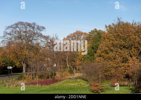 Anglo-Saxon burial mound, thought to contain the remains of Sæxa ...