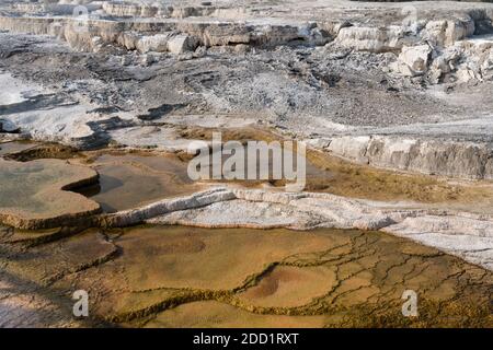 Travertine terraces at Mound Terrace, Lower Terraces, Mammoth Hot ...