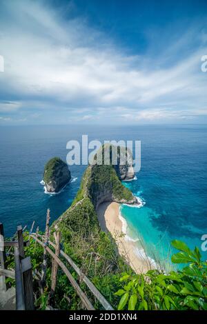 Vertical high angle shot of a beautiful leaf covered with snow on a ...