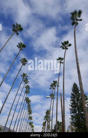 Glendale, California, USA 18th November 2020 A general view of atmosphere of National Lampoon's ...