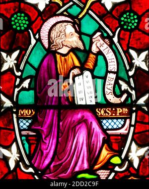 DETAIL OF THE JESSE TREE STAINED GLASS IN THE ROYAL DOOR CHARTRES ...