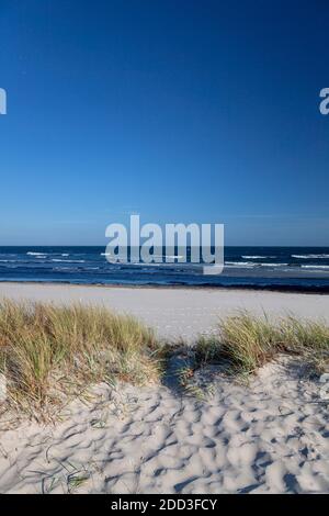 Coast at Loederup, Sweden Stock Photo - Alamy