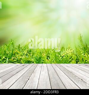 Wooden deck and fern leaves on green abstract background Stock Photo ...