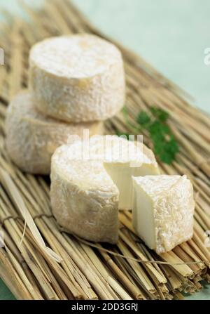 French Cheese called Crottin de Chevre, a Goat Cheese Stock Photo - Alamy