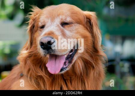 BOGOTA, COLOMBIA - NOVEMBER, 2020: Beautiful historic house at the ...