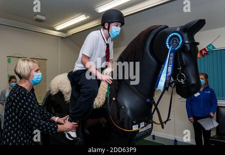 Mechanical horse riding simulator at Muirfield Riding Therapy for the ...