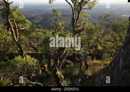 Battle of Busaco (Bussaco) (Bucaco) Battlefield site, a Napoleonic era ...