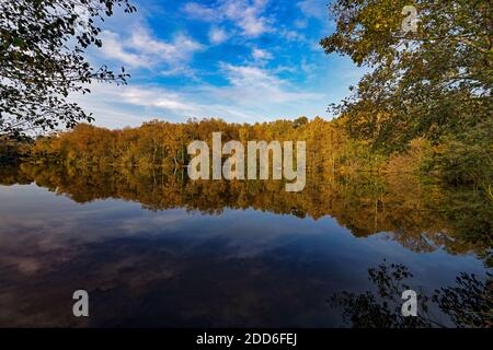 Slaugham mill pond, Slaugham, West Sussex, England, Uk Stock Photo - Alamy