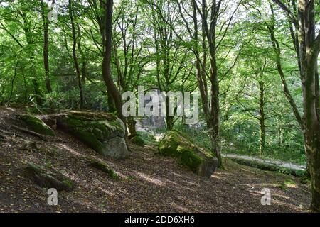 Teffry Viaduct, Luxulyan Valley 100920 Stock Photo - Alamy