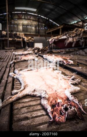 Estancia in Patagonia Stock Photo - Alamy