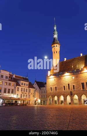 Beautiful scenery of a cityscape with illuminated buildings in Dresden ...