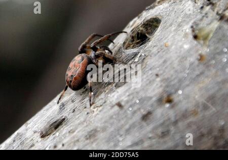 Lake Tawokoni State Park ranger Mike McCord continues to monitor a ...