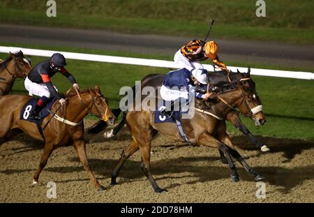 Lady of York ridden by Joey Haynes (right) wins the Heed Your Hunch At ...