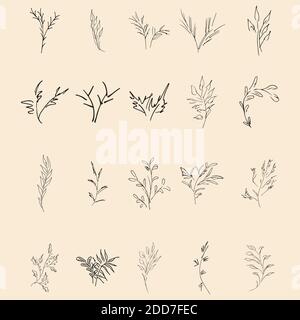 Doodle simple collection of 20 hand-drawn floral elements. Big ...