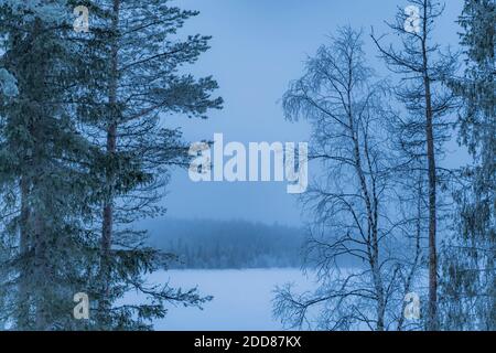 Magical Lapland winter scene Stock Photo - Alamy
