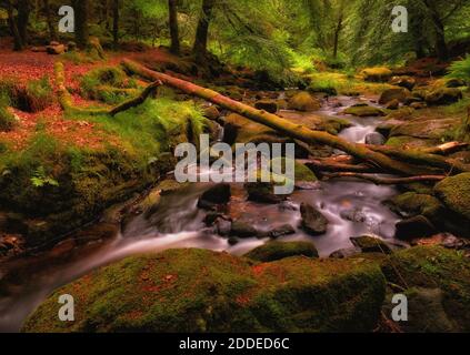 Mysterious Cloghleagh Creeks in Wicklow Mountains National park ...