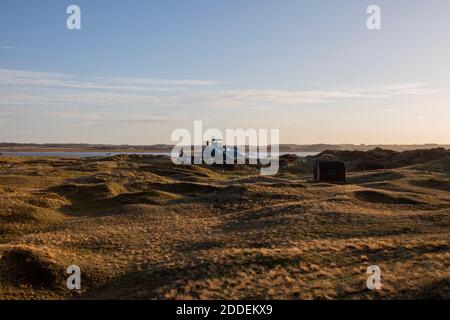 Grey Seal breeding season at Blakeney Point in Norfolk on Monday 23rd ...