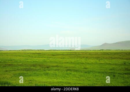 Panoramic shot of endless steppe lying in a fertile valley with ...