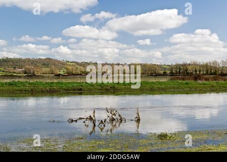 Sowey River flood relief channel overflowing its banks onto Aller Moor ...