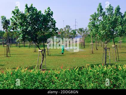 watering plants and the lawn in a big green garden watering plants in a ...