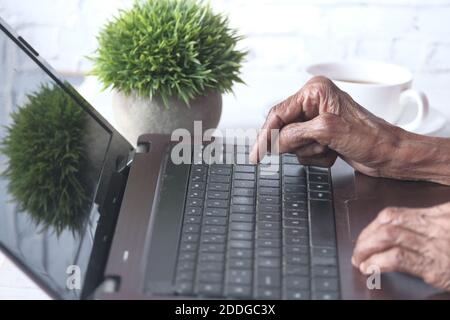 senior women's hand typing on laptop Stock Photo - Alamy