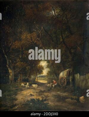 Walnut Tree Walk, Earlham,. 1836-63. By Samuel David Colkett.. Based ...