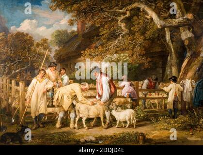 Sheep Salving, 1828. James Ward. Sheep salving was an early method of ...
