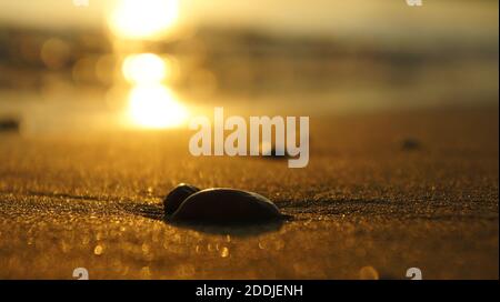 Athens, Greece November 28th sunset in the beach Stock Photo - Alamy
