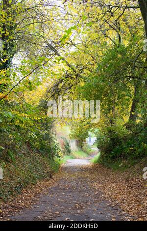 Beautiful shot of a narrow walkway on the cliff peak leading to the ...