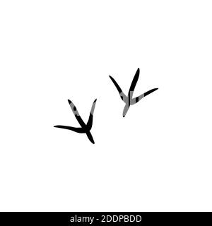 Animal footprints and tracks isolated on white for wildlife concept ...