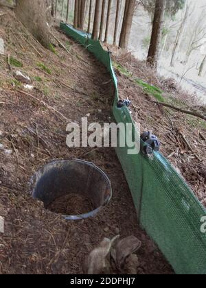 toad fence, toad fences Stock Photo - Alamy