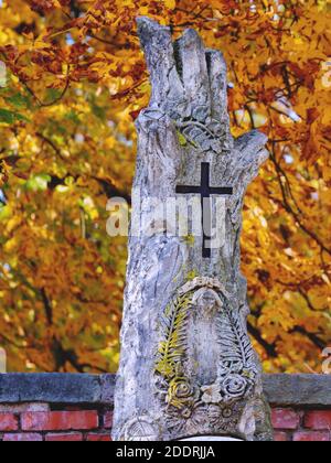Dead tree covered with lush ivy Hedera helix Stock Photo - Alamy