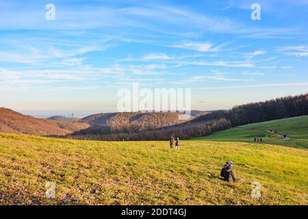Wien, Vienna: alp Sophienalpe, view to viewpoint Franz-Karl-Fernsicht ...