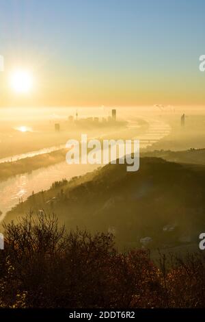 Wien, Vienna: mist at river Neue Donau (New Danube), swans in 22 ...