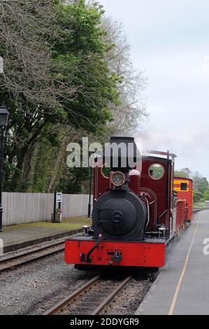 "Fiji" at Dinas Junction Station Stock Photo - Alamy