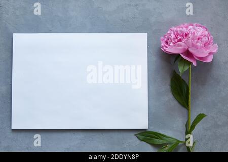 Gray business card with pink peony flowers on gray pastel background ...