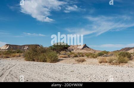 Unique desert landforms of arid desert in outback Australia Stock Photo ...