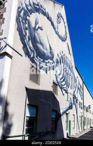 Native birds shown within the cycle of life and death by artist Roa. At ...
