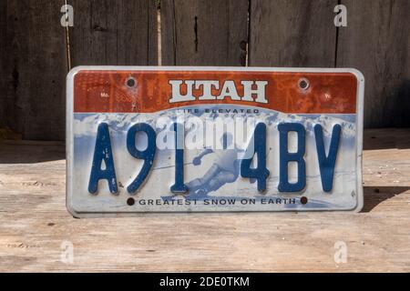 License plate with the slogan Life Elevated, Delicate Arch in Arches ...