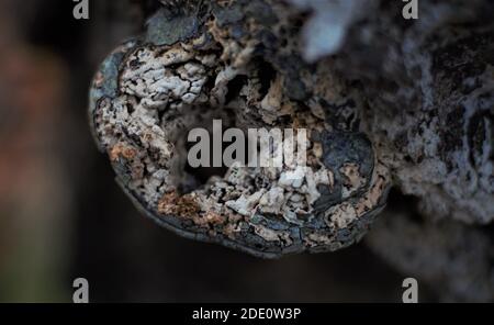 In love with nature gravity Stock Photo - Alamy