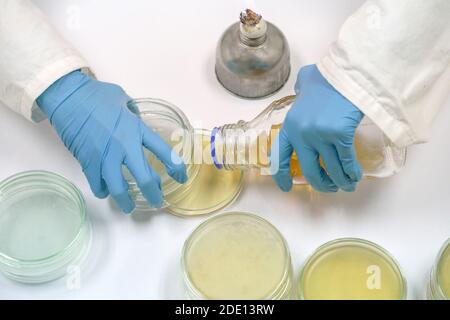 Pour plate method of plating a microbiology culture Stock Photo - Alamy