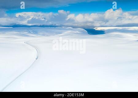 Winter landscape, Deep snow-covered lime tree (Tilia), Canton Zurich ...