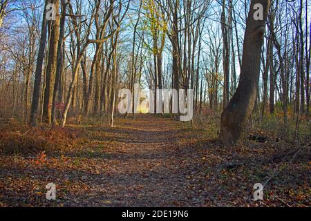 Barren trees and other Autumn scenes at the Nature preserve at ...