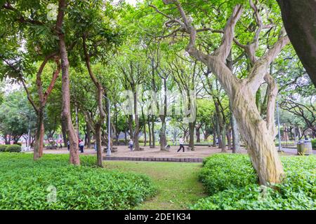 Trees at the garden inside the park premises of Liberty Square in ...