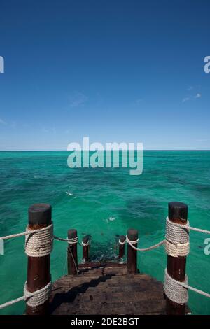 Stairs leading to tropical lagoon Stock Photo - Alamy